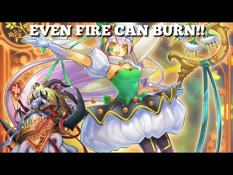 This Trickstar Engine Can Burn Anything! Generaider Combo! Guide/Deck ...