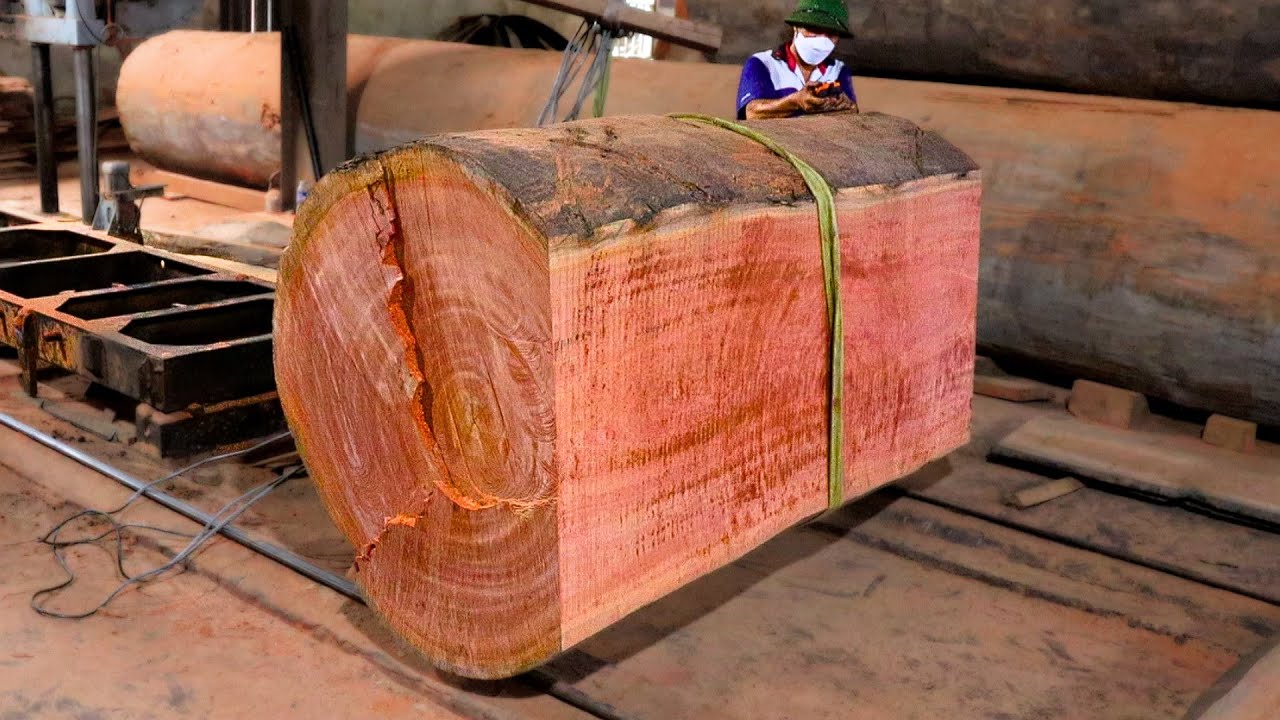 Cutting a 5ft Diameter Redwood Tree in Factory! - YouTube