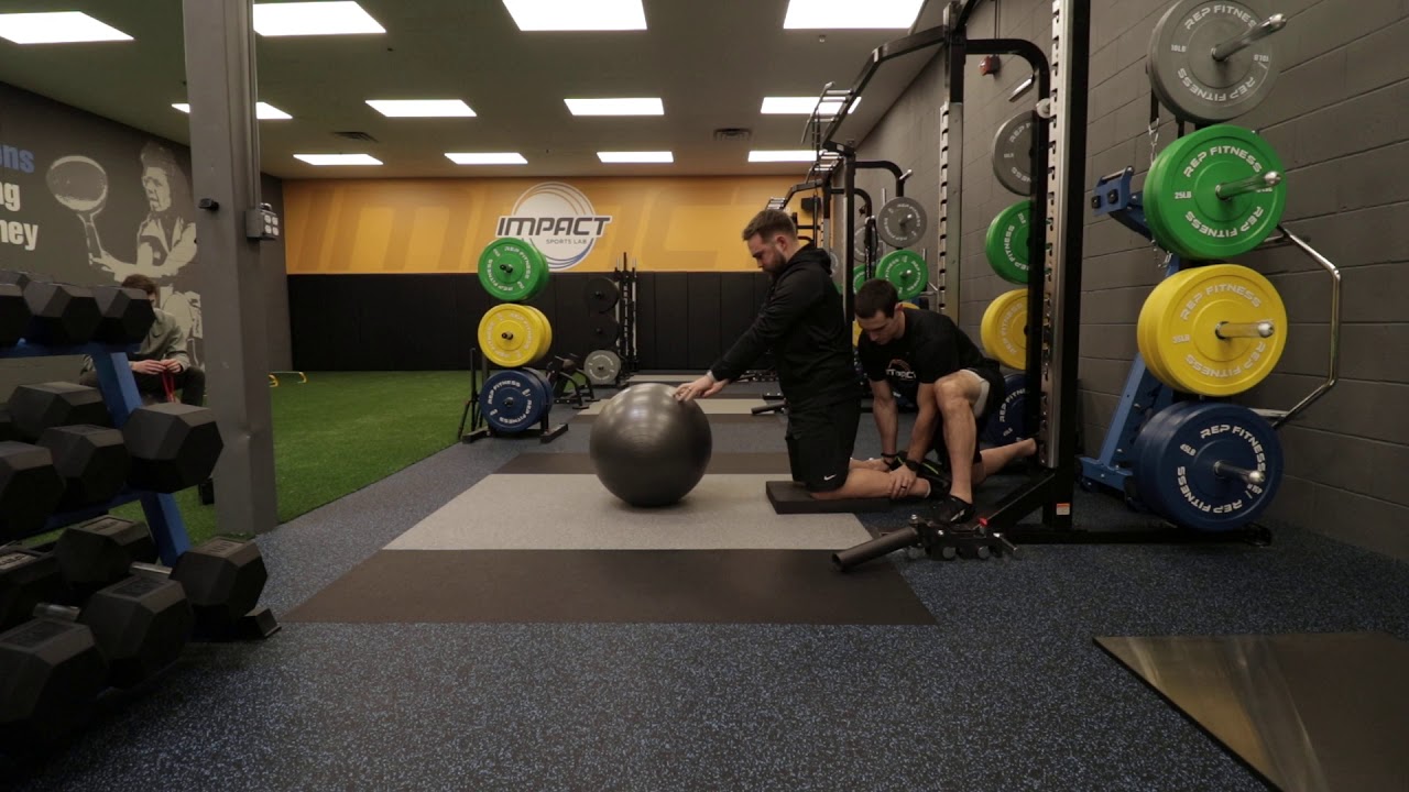 Stability Ball Assist Nordic Curl - YouTube