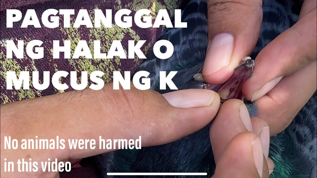 GANITO ANG GAWIN NYO KAPAG GALING SA SMASH ANG K lalo na kung pagka ...