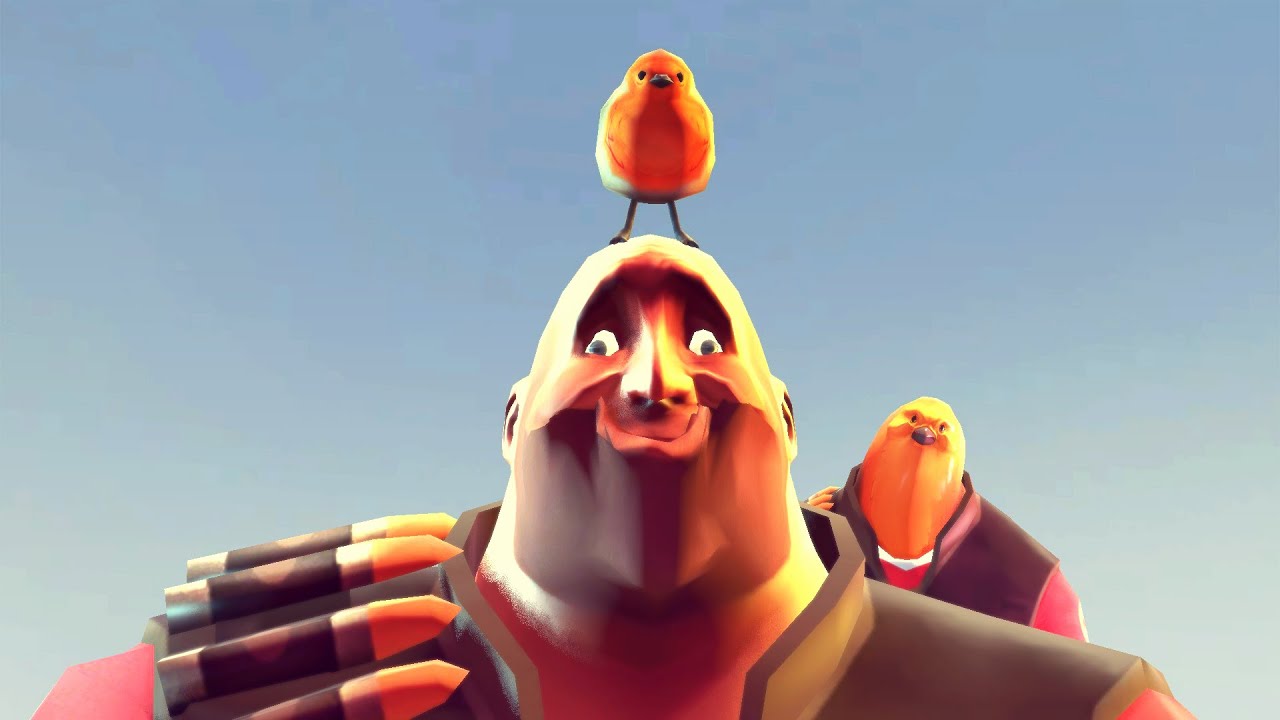 Bird Debate - YouTube