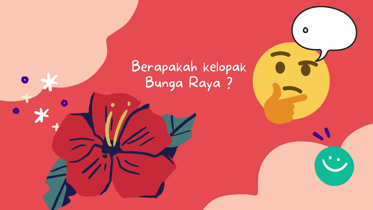 Mengenali bunga raya (Bunga Kebangsaan Malaysia) - YouTube
