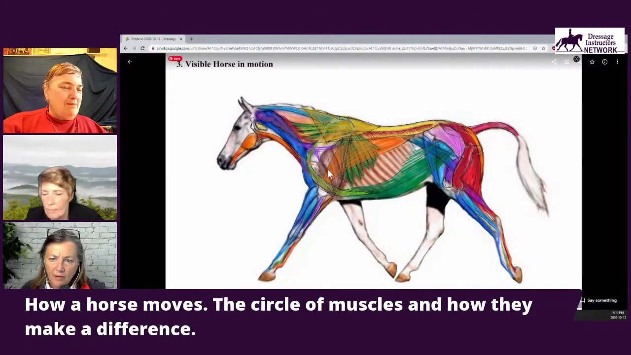 Dressage Instructors Live Presents Susan E. Harris - YouTube
