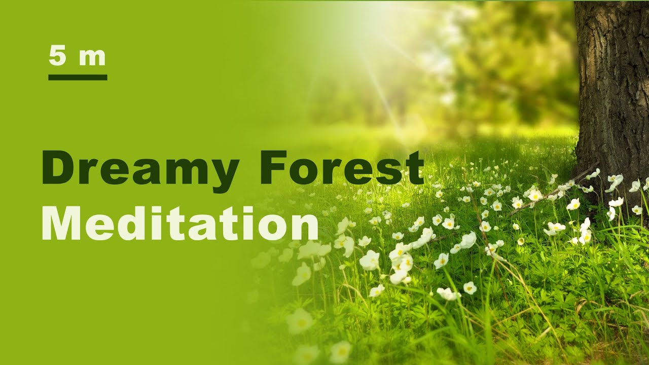 5 Minute Meditation ~ Birds singing ~ Morning Meditation ~ Mental ...