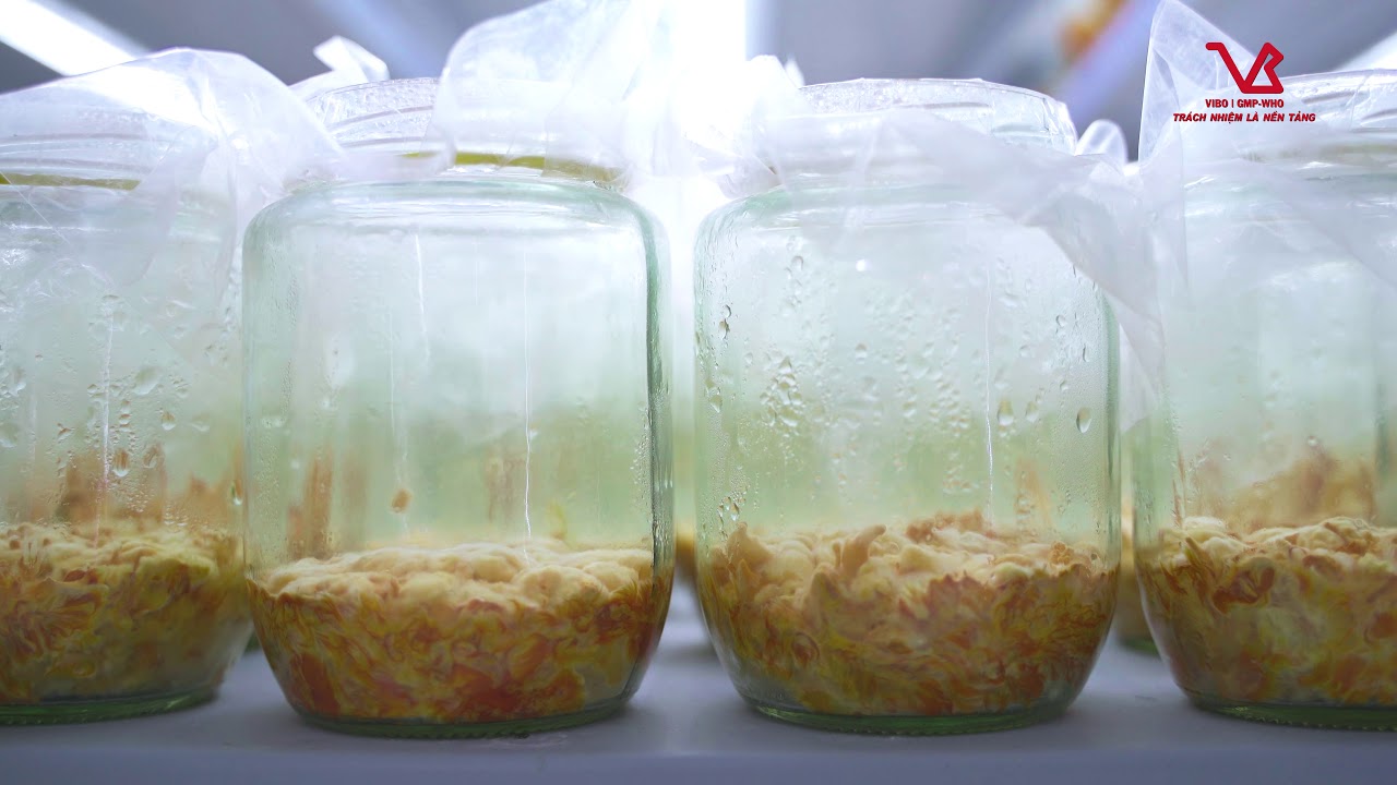 LIVERMIN pro_ TINH CHẤT THẢO DƯỢC THIÊN NHIÊN, TÁI TẠO MÔ GAN, TẠO HỒNG ...