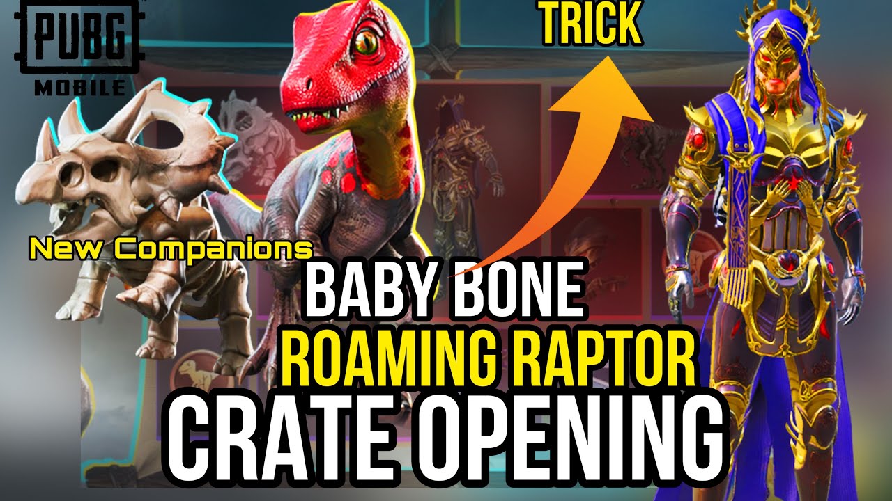 BABY BONES & ROAMING RAPTOR COMPANION IN PUBG MOBILE | NEW HOLA BUDDY ...