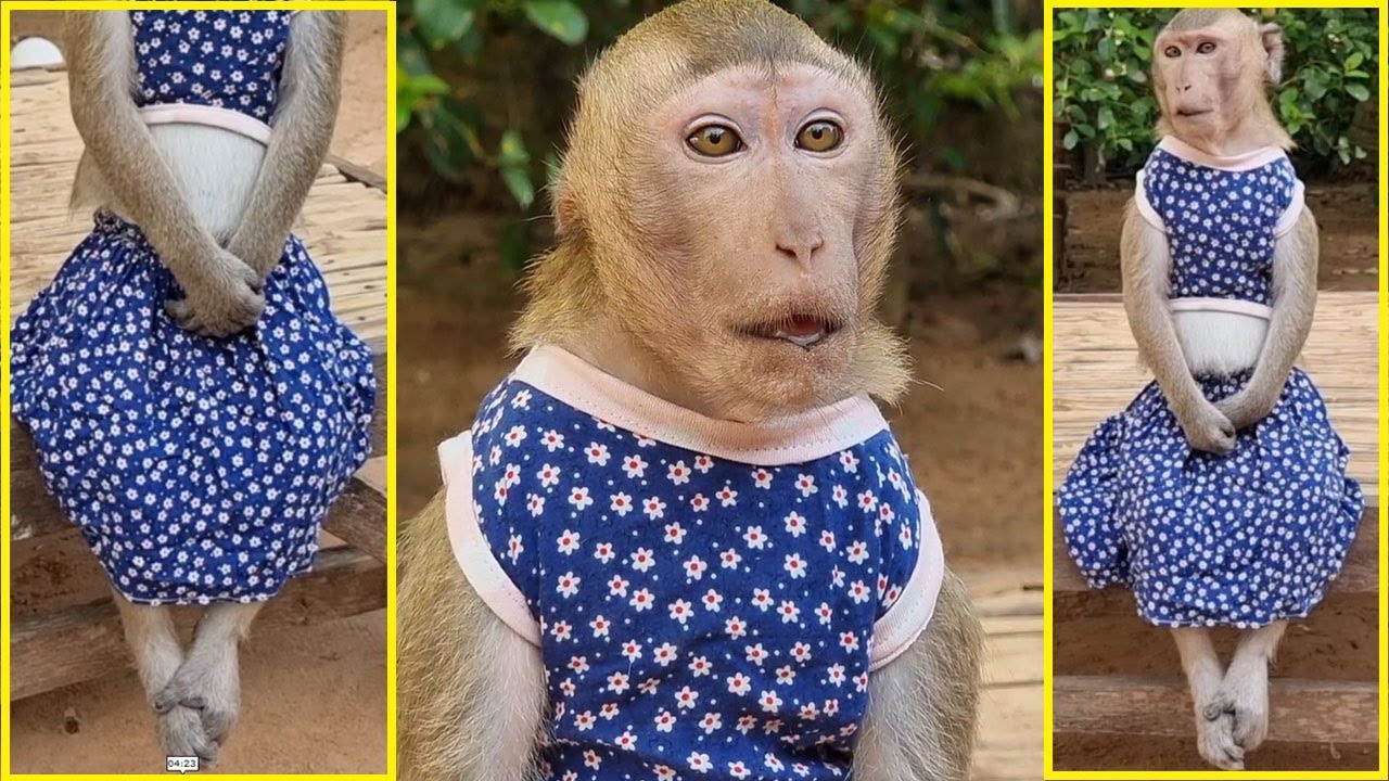 My Princess Shally So Beautiful In Stylist Dress - YouTube