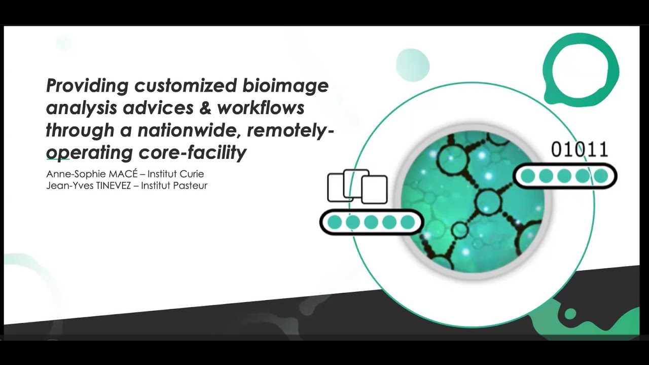 France-BioImaging Image Analysis Service (FB-IAS) - YouTube