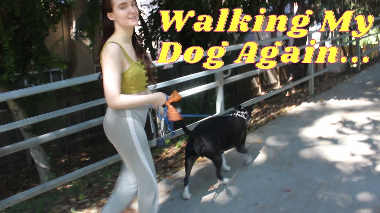 So.. I took my 80 POUND PITBULL for a WALK again || Daily Vlog #18 ...