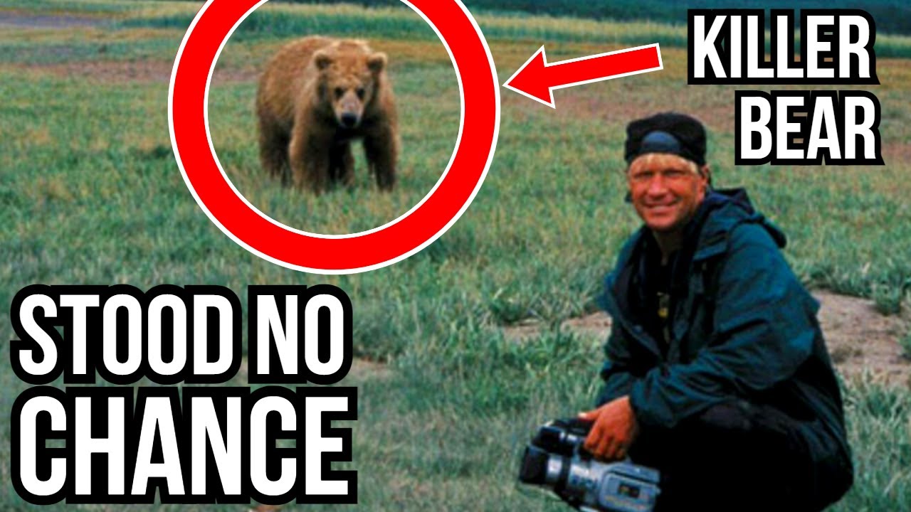 3 Celebrities That Were Tragically Killed By Wild Animals YouTube 3-celebrities-that-were-tragically-killed-by-wild-animals-youtube