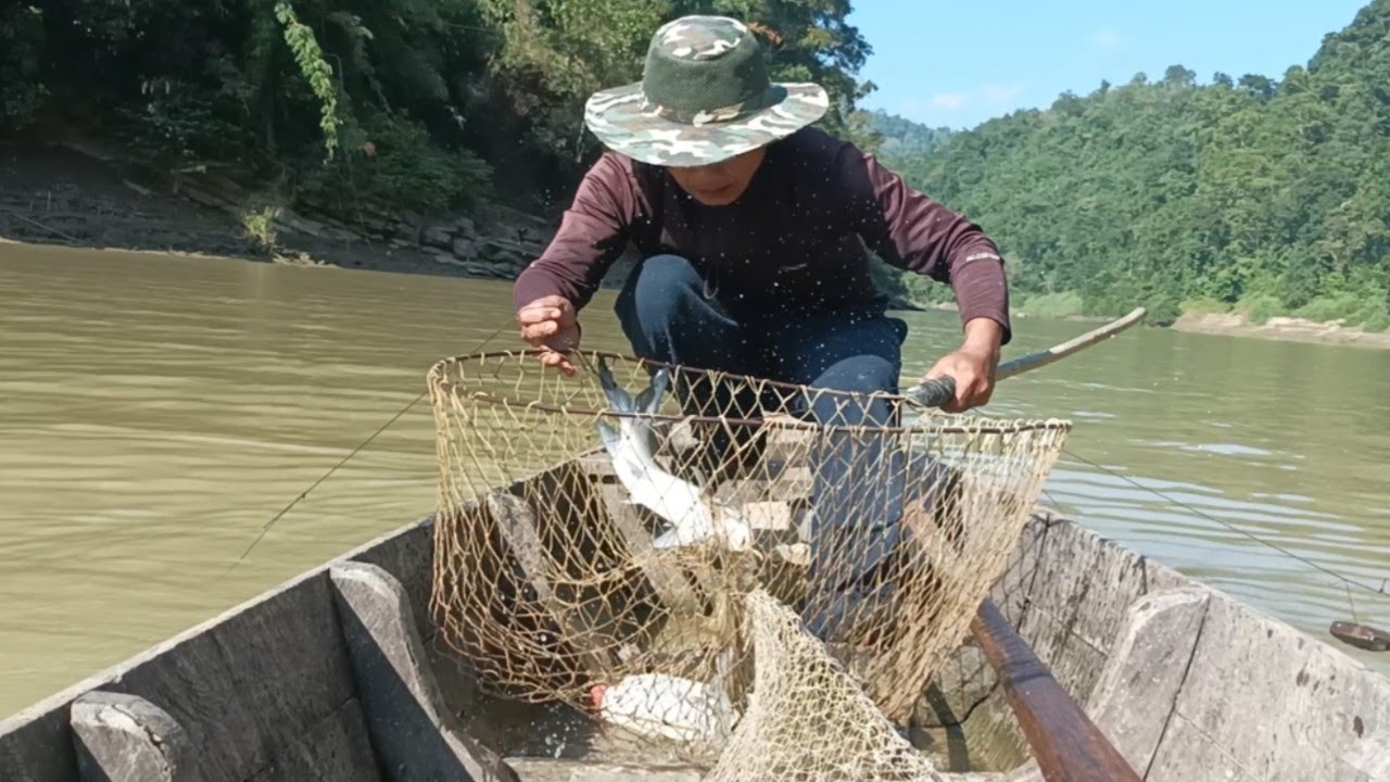 Amazing Rural village fishing.🐟 - YouTube