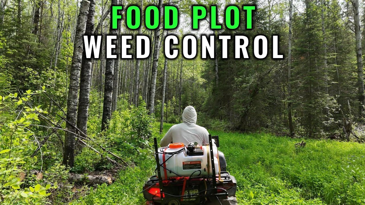 Food Plot Weed Control - YouTube