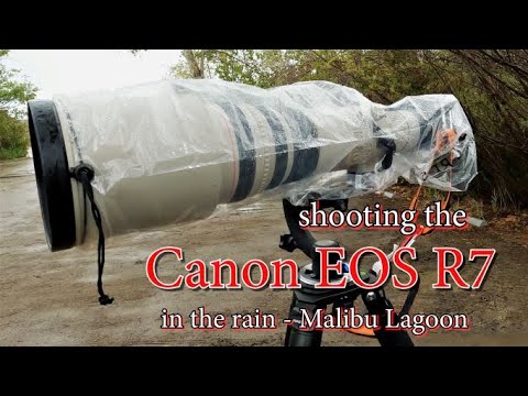 Shooting the Canon R7 in the rain and the Z9 at Sepulveda - such an ...