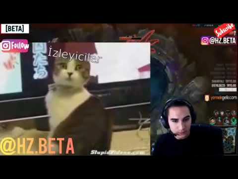 Hazreti Yasuo Küfür Etmediğini Açıklıyor