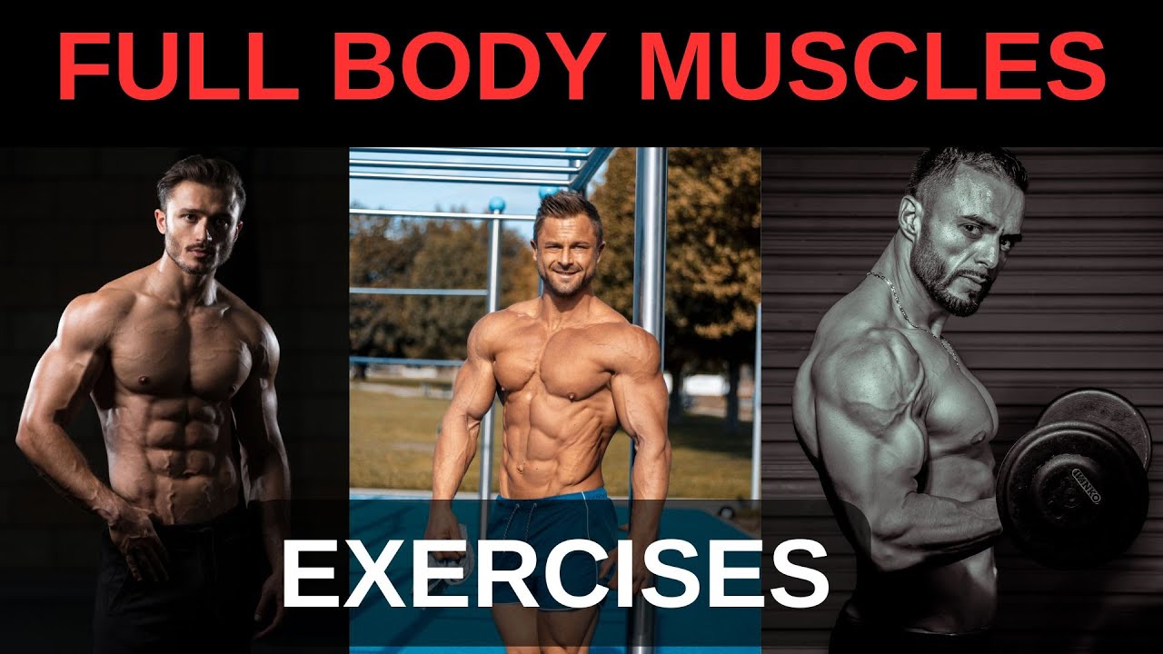 7 Minute Full Body Workout - Bodyweight | Build Muscle & Strength - YouTube