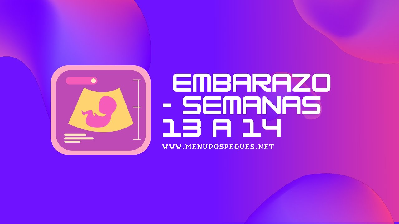 EMBARAZO semanas 13 a 14. - YouTube