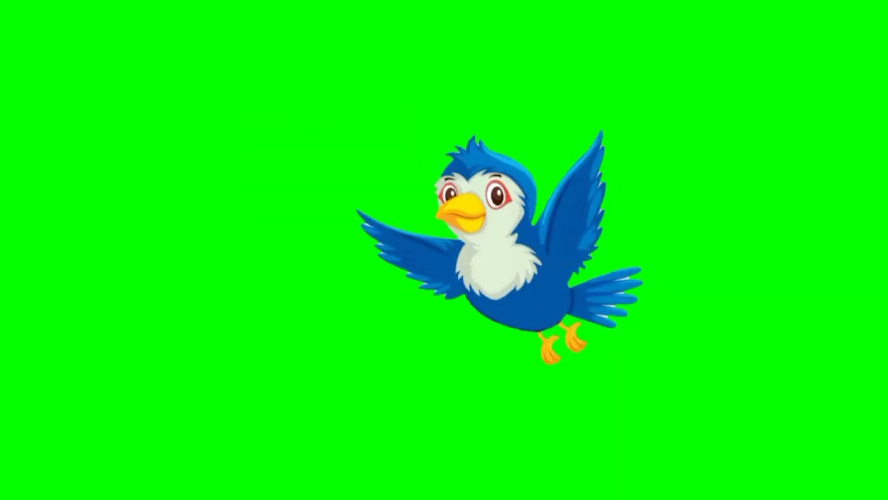 Birds green screen chroma key - YouTube