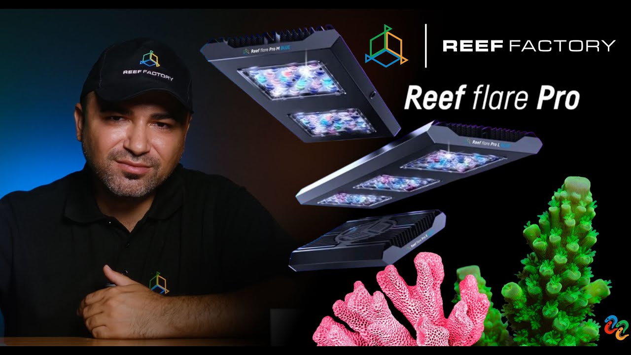 Reef Flare Pro - Reef Factory'nin En Güçlü Işığı @MansyReef - YouTube