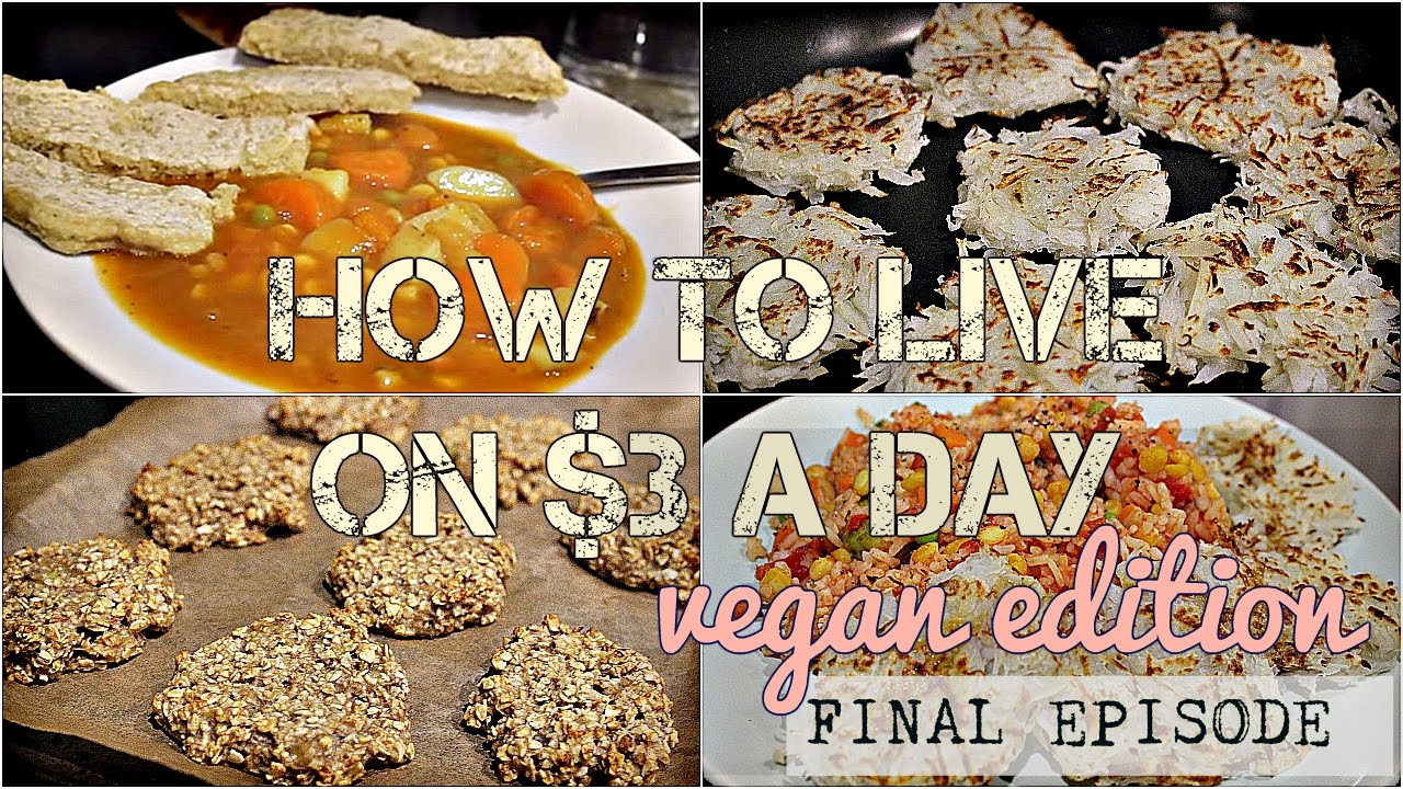 How to Live on $3 a Day - VEGAN EDITION (Pt. 4 FINAL EPISODE) ♥ Cheap ...
