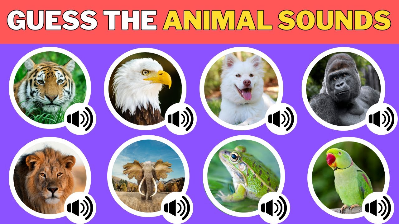 Guess the Animals by Sound | Ultimate Animals Quiz - YouTube