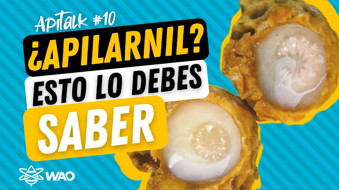 ¿Qué es el Apilarnil y para qué Sirve? | ApiTalk #10 - YouTube