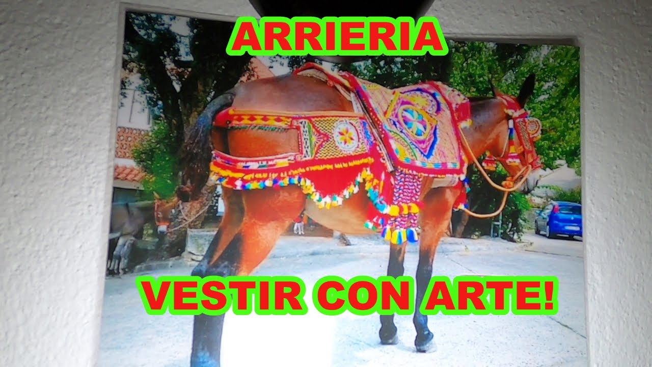 VISTE A TU MULO CON ARTE! NUESTRAS AVENTURAS - YouTube