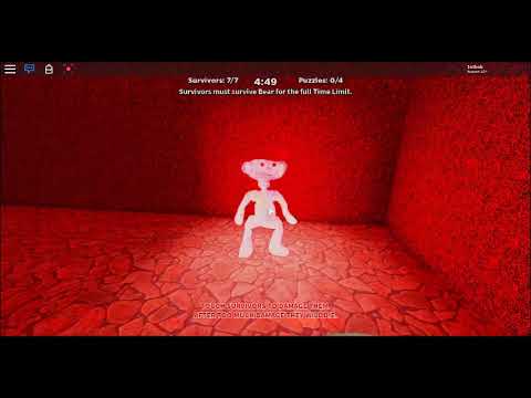 bear alpha - YouTube