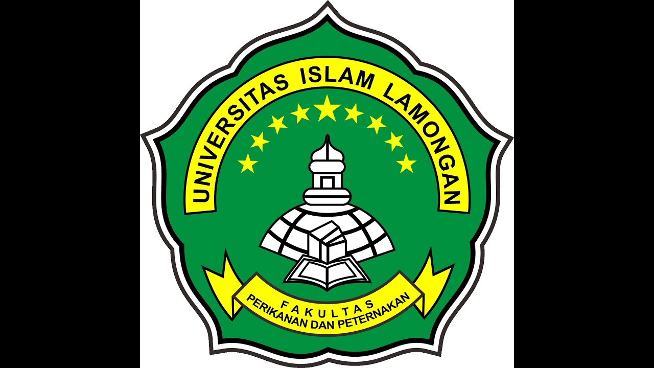 FINAL PROJECT BASIS DATA II - YouTube