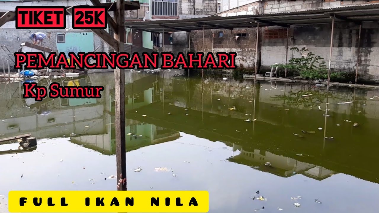 Ikan Seabreg Abreg Di Empang ini || Pemancingan Bahari Kp Sumur - YouTube