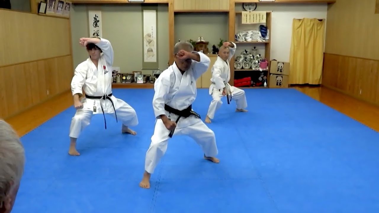 Slow rendition of Sochin Kata (Golden-Oldies Practice): IT'S NEVER TO ...