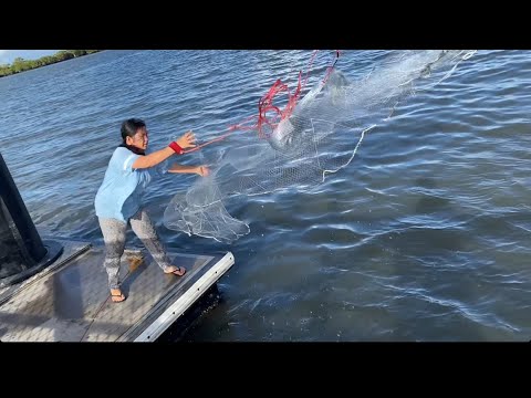 CATCHING PRAWNS 🦐 AND FISHES WITH CAST NET. Ntaus vas. - YouTube