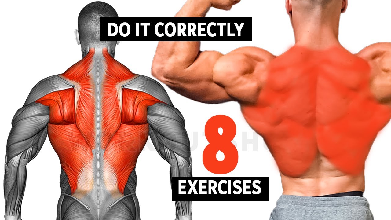 Do These Back Muscles Exercises Correctly - YouTube