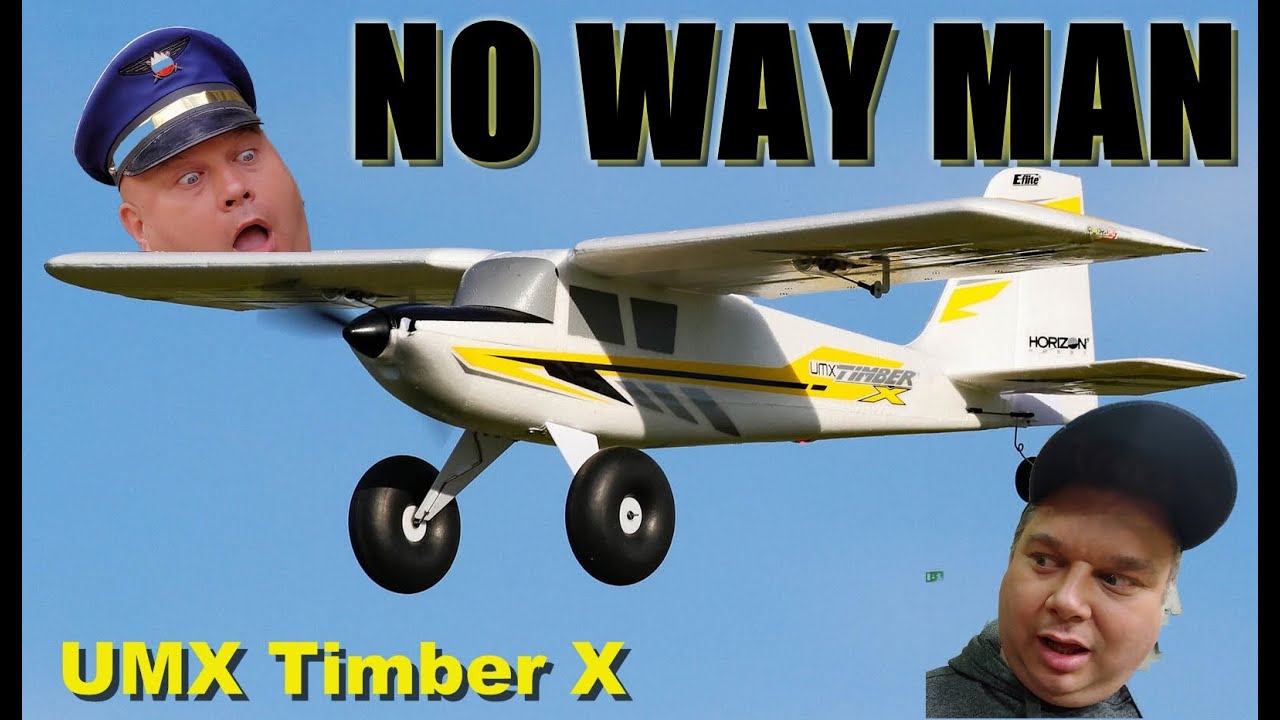 AMAZING UMX Timber X BNF Basic with AS3X and SAFE Select 570mm RC plane ...