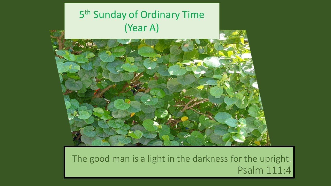 5th Sunday of Ordinary Time (Year A) - YouTube
