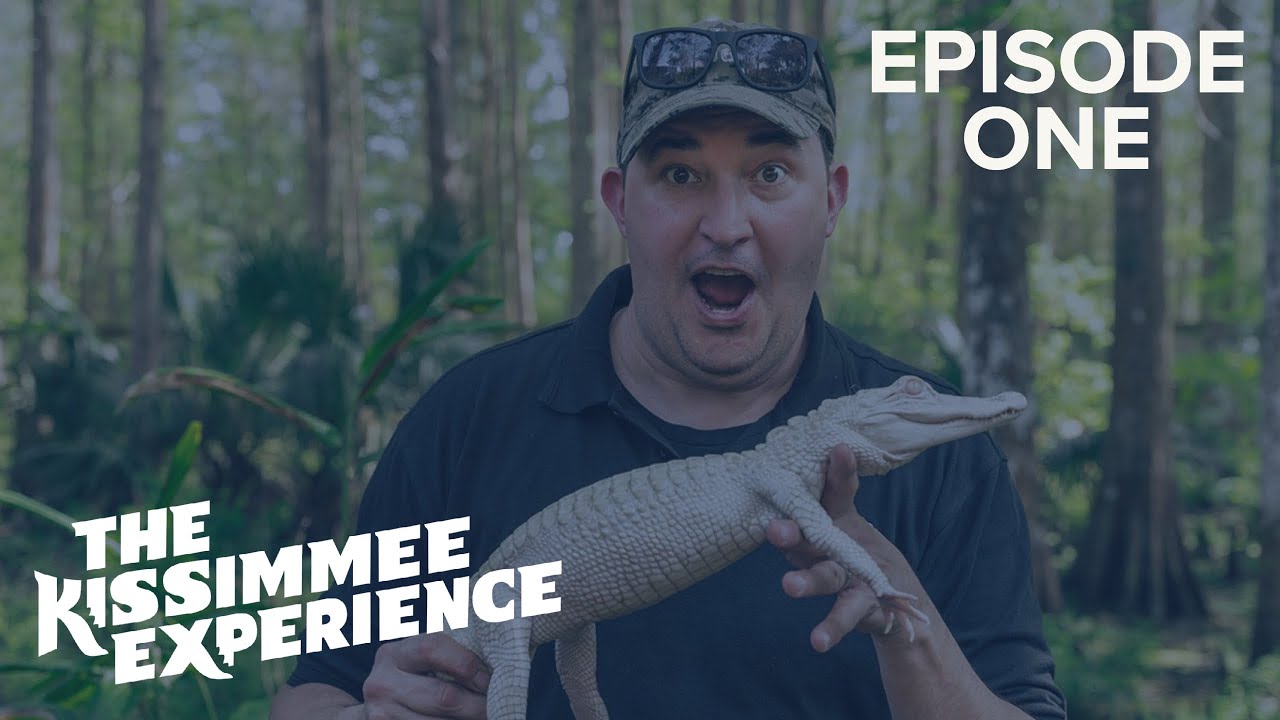 Jeff The Animal Guy Goes WILD Over Albino Alligator | The Kissimmee ...