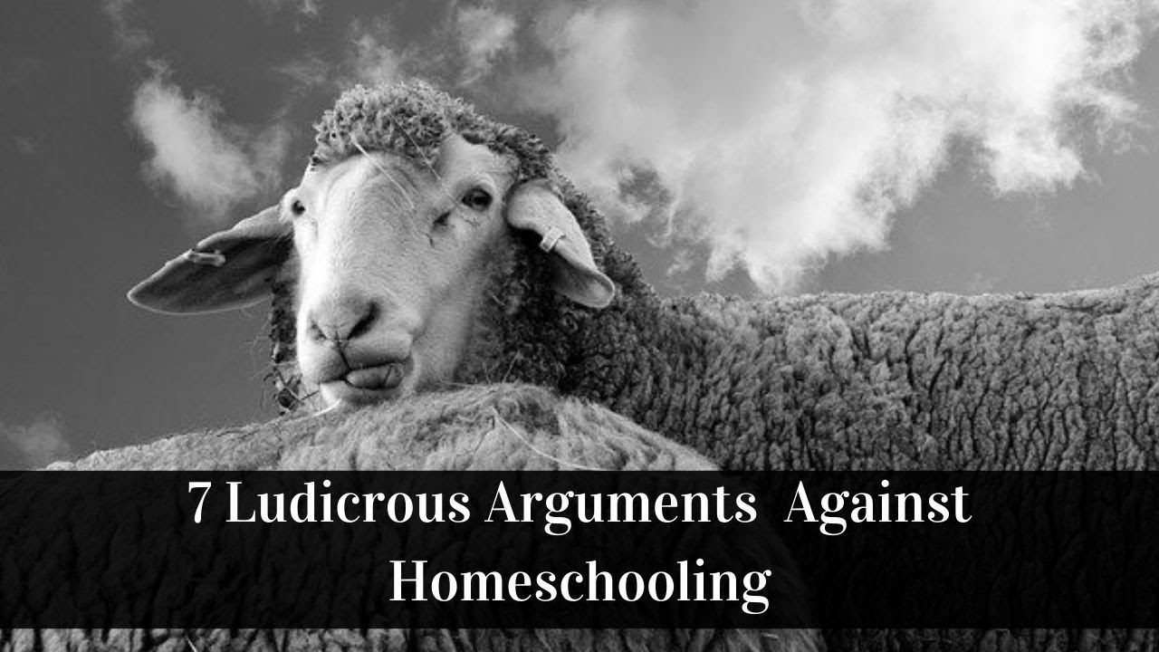 7 Ludicrous Arguments Against Homeschooling - YouTube