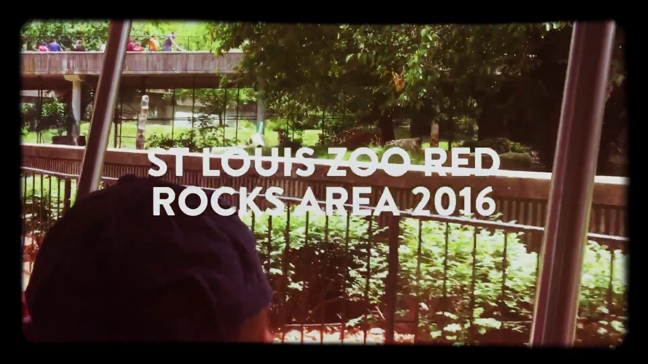 Family Trip To St Louis Zoo Red Rocks Area In 3min 20sec - YouTube