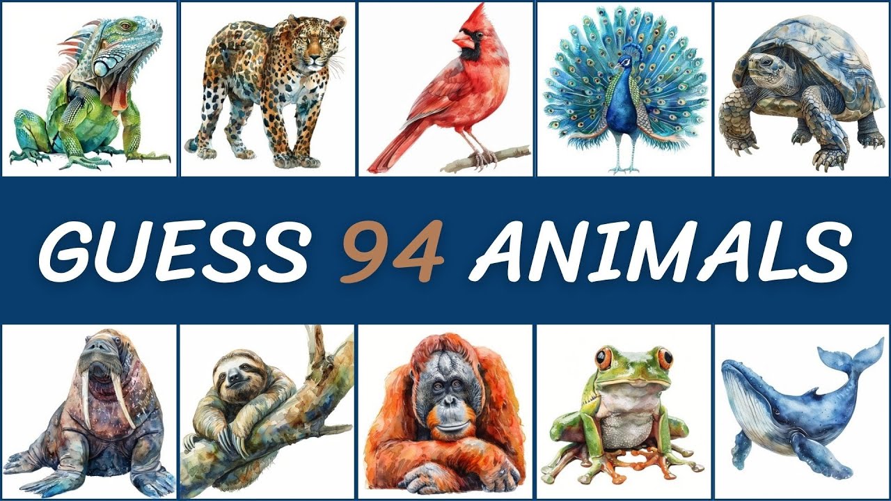 Guess the Animals Quiz [94 Different Types of Animals] 🐶🦉🦝 - YouTube
