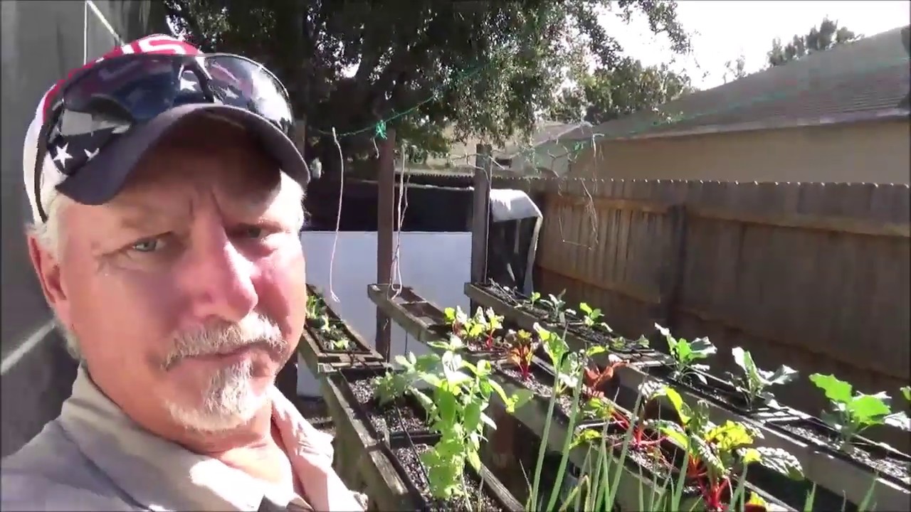 Elevated Container Garden Tour Backwoods Gourmet - YouTube