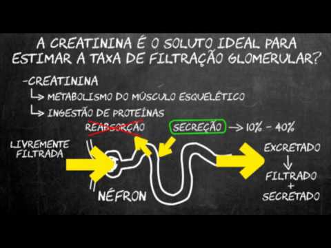 Por quê usamos a creatinina para calcular a função renal?