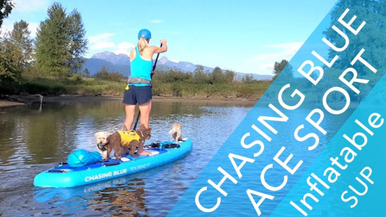 Chasing Blue Ace Sport Inflatable Paddle Board Review | ISUPWORLD.com ...
