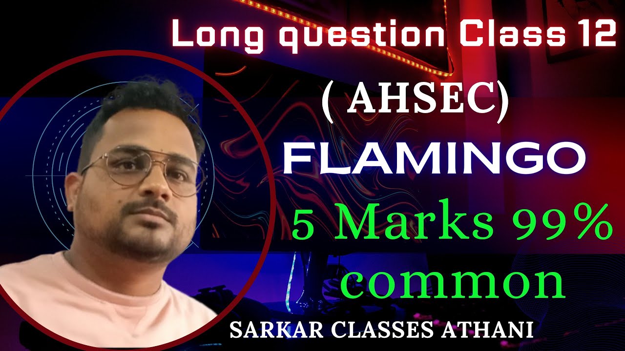Long question 99% common FLAMINGO | class 12 (AHSEC) | HS Final 2024 | SARKAR CLASSES ATHANI ...