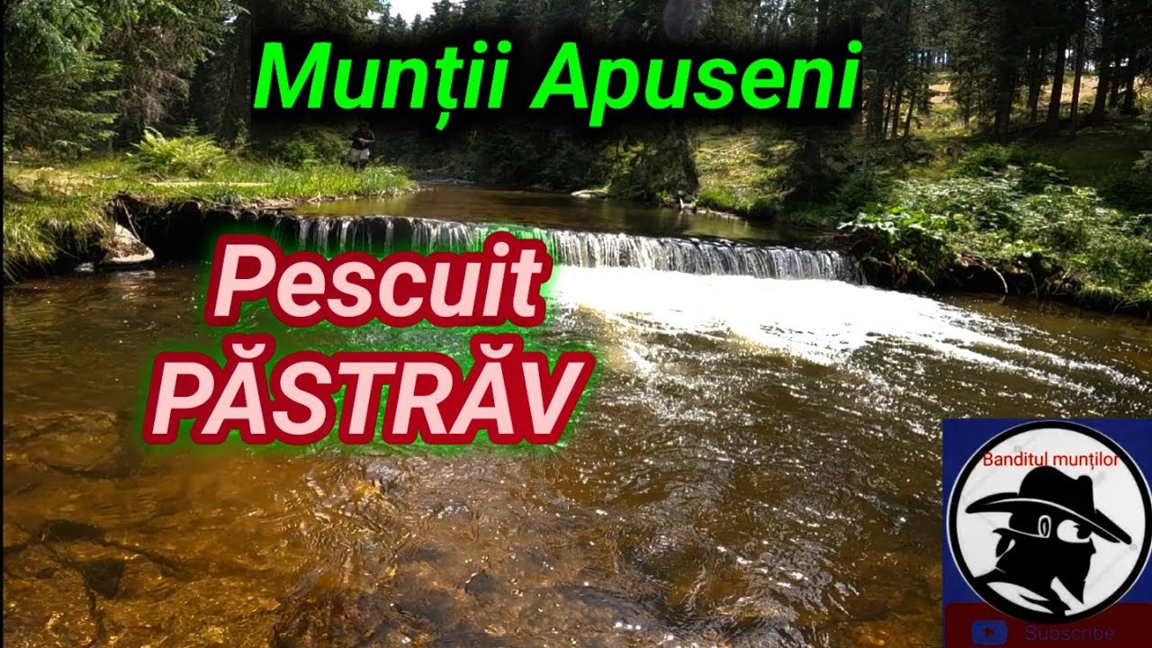 Am PESCUIT la PĂSTRĂV într-o zonă frumoasă din Munții Apuseni! trout ...
