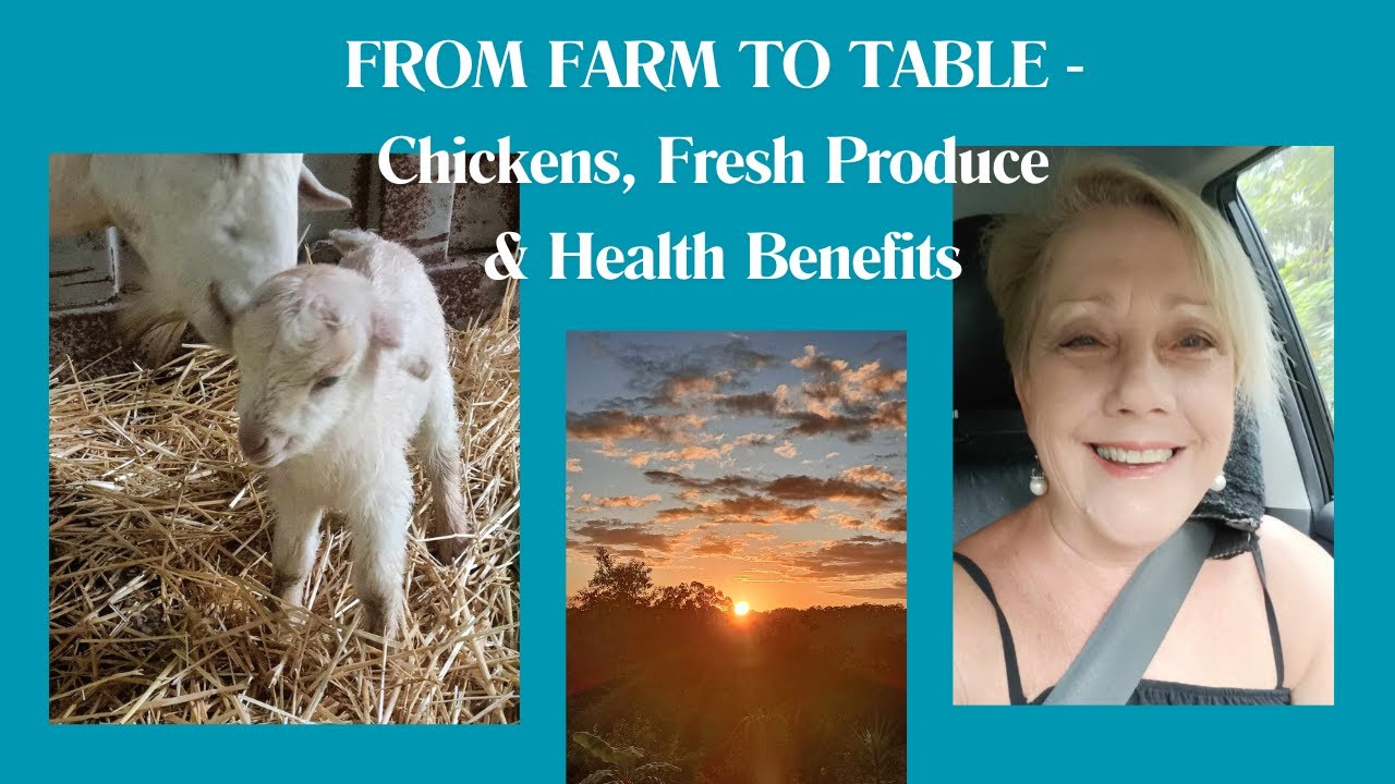 FROM FARM TO TABLE - CHICKENS, FRESH PRODUCE & HEALTH BENEFITS - YouTube