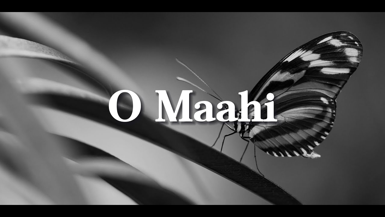 O Maahi Lyric Video | Shah Rukh Khan | Taapsee Pannu | Pritam | Arijit ...