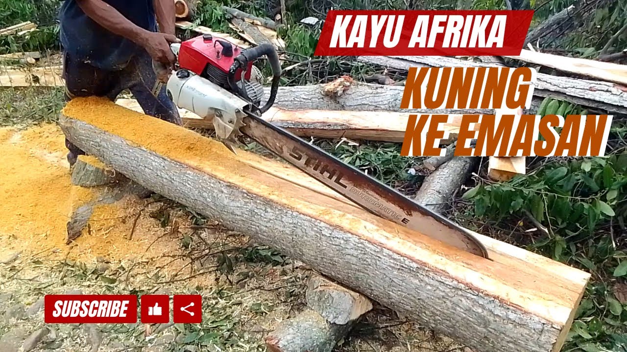 Proses Pembuatan Balok Untuk Kusen Pintu dari kayu Afrika - YouTube