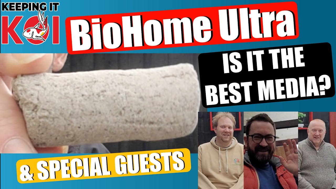 Biohome Ultra Media BHM Ultra Full Review & My Thoughts on the Koi Pond ...