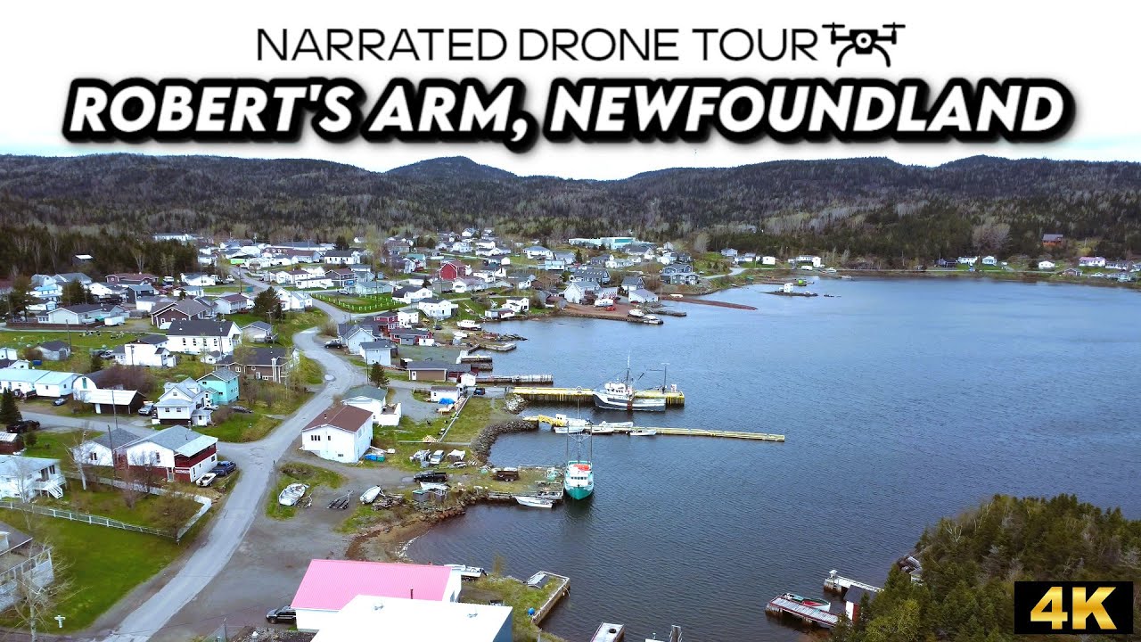 🌲 Explore Robert's Arm, Newfoundland in Stunning 4K! 🛫 Aerial Adventure ...