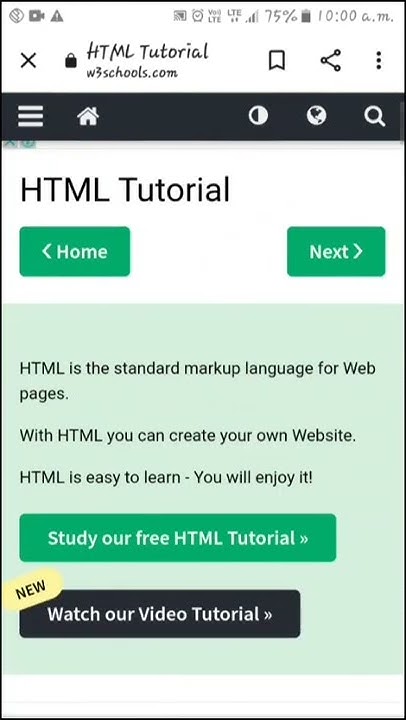 Basic Html Introduction By W3school Html Tutorial By W3school Shorts Youtube