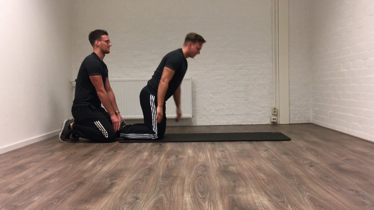 harop curls hamstring | Física Fysiotherapie - YouTube